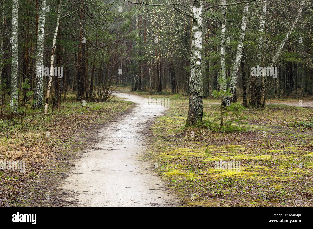 Spring hiking in woods hi-res stock photography and images - Alamy