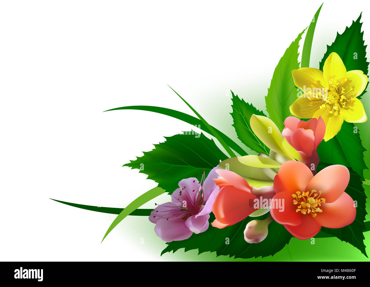 Colorful Flowers Corner Stock Photo - Alamy
