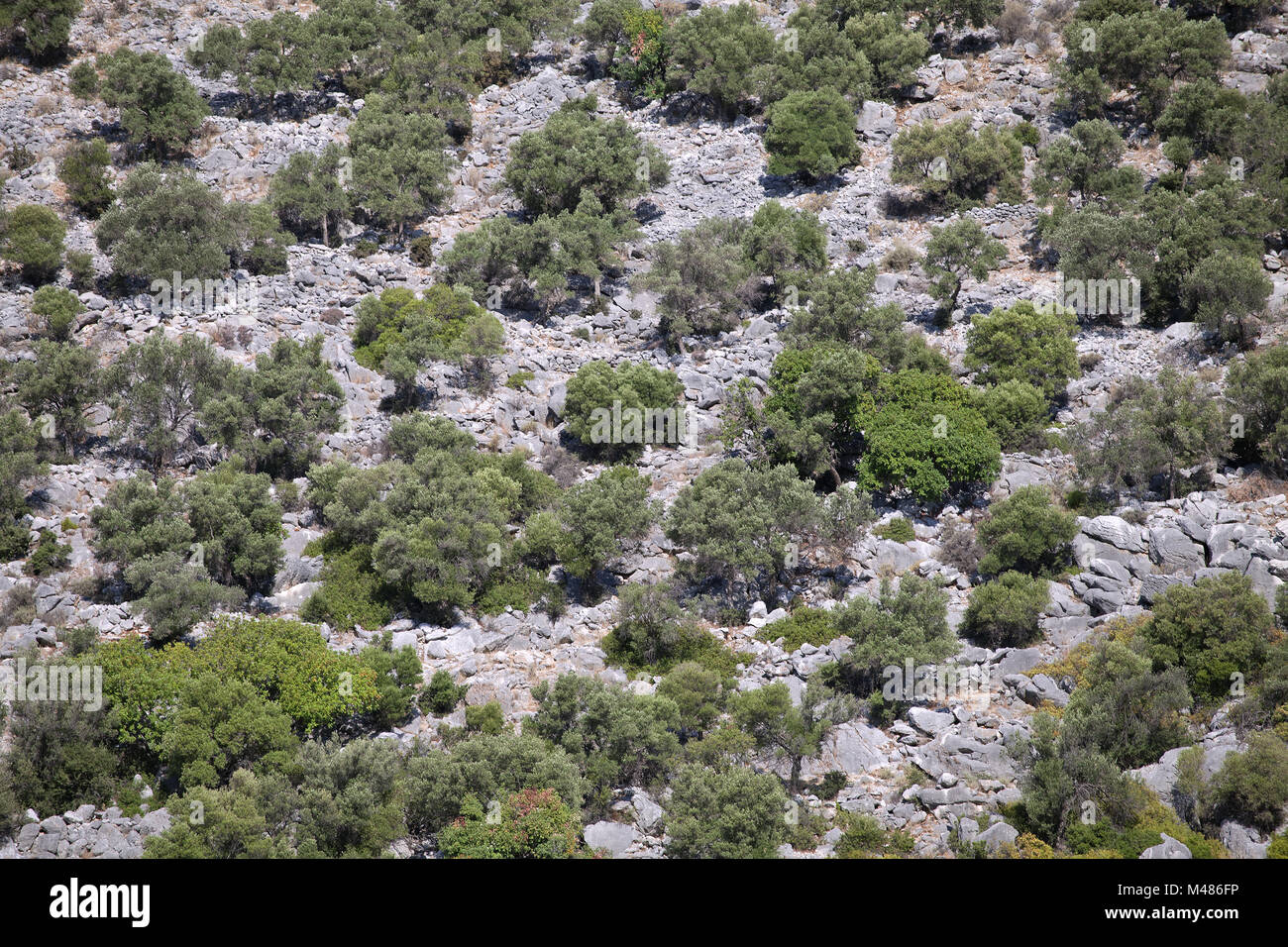 Vertical cliff wall Stock Photo - Alamy