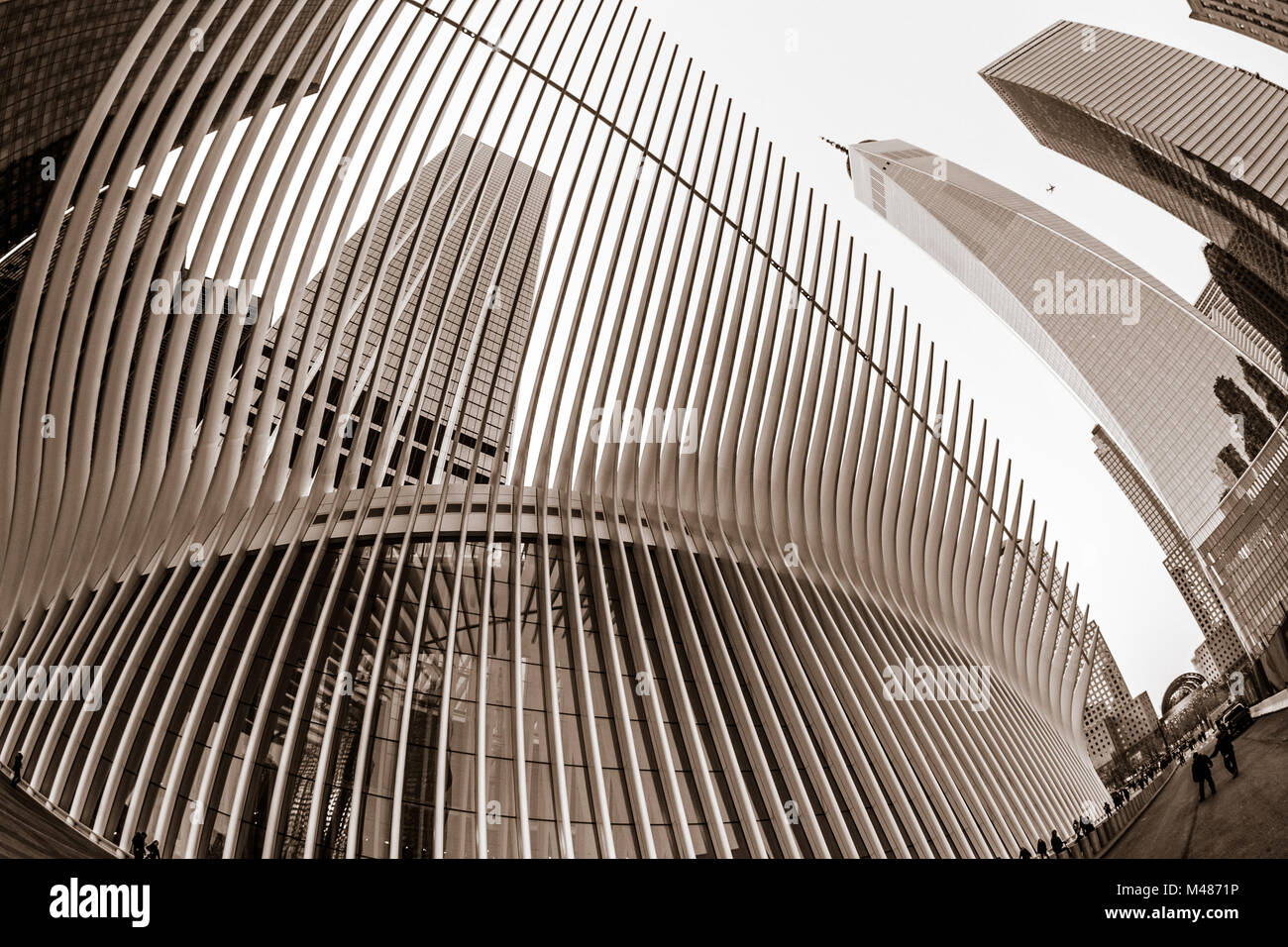 New York, Feb 9, 2018: The exterior ribs of Oculus, with Freedom Tower ...