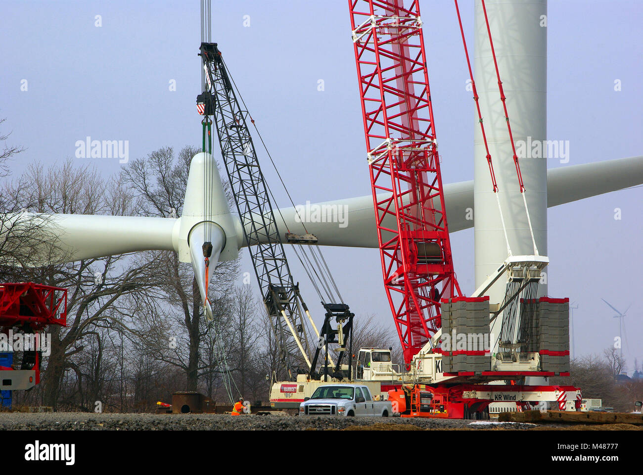 Come to Papa Stock Photo - Alamy