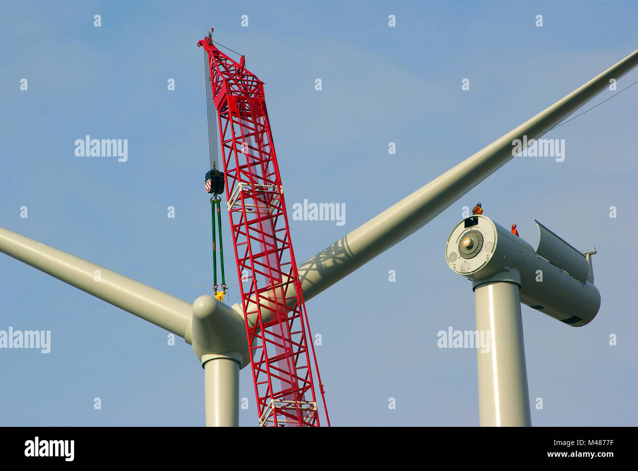 Come to Papa Stock Photo - Alamy