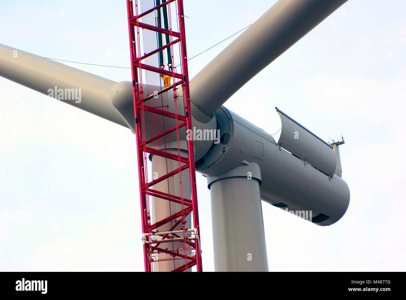 Come to Papa Stock Photo - Alamy