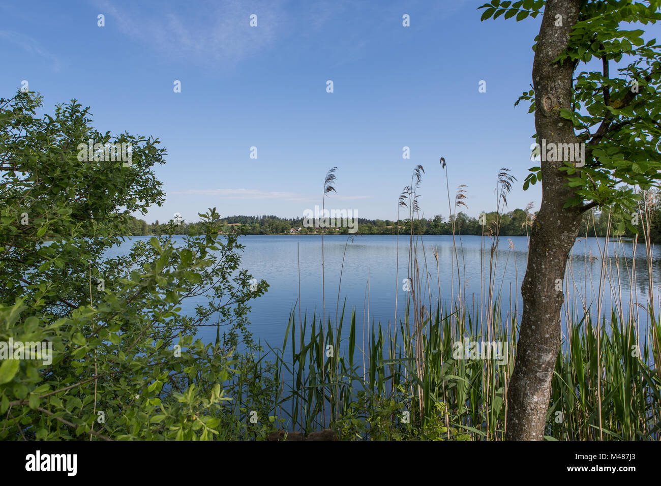 Soppensee hi-res stock photography and images - Alamy