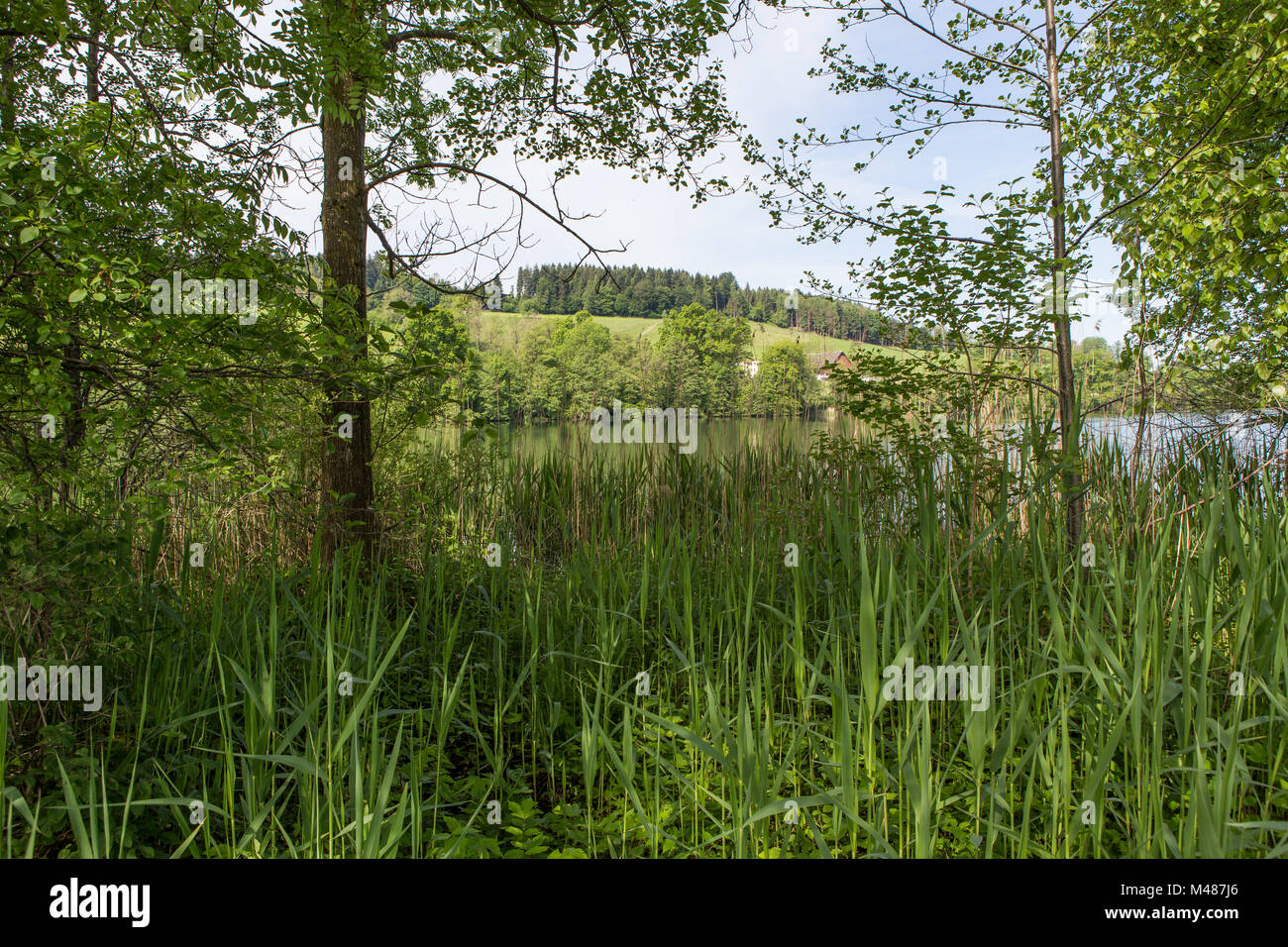 Soppensee hi-res stock photography and images - Alamy