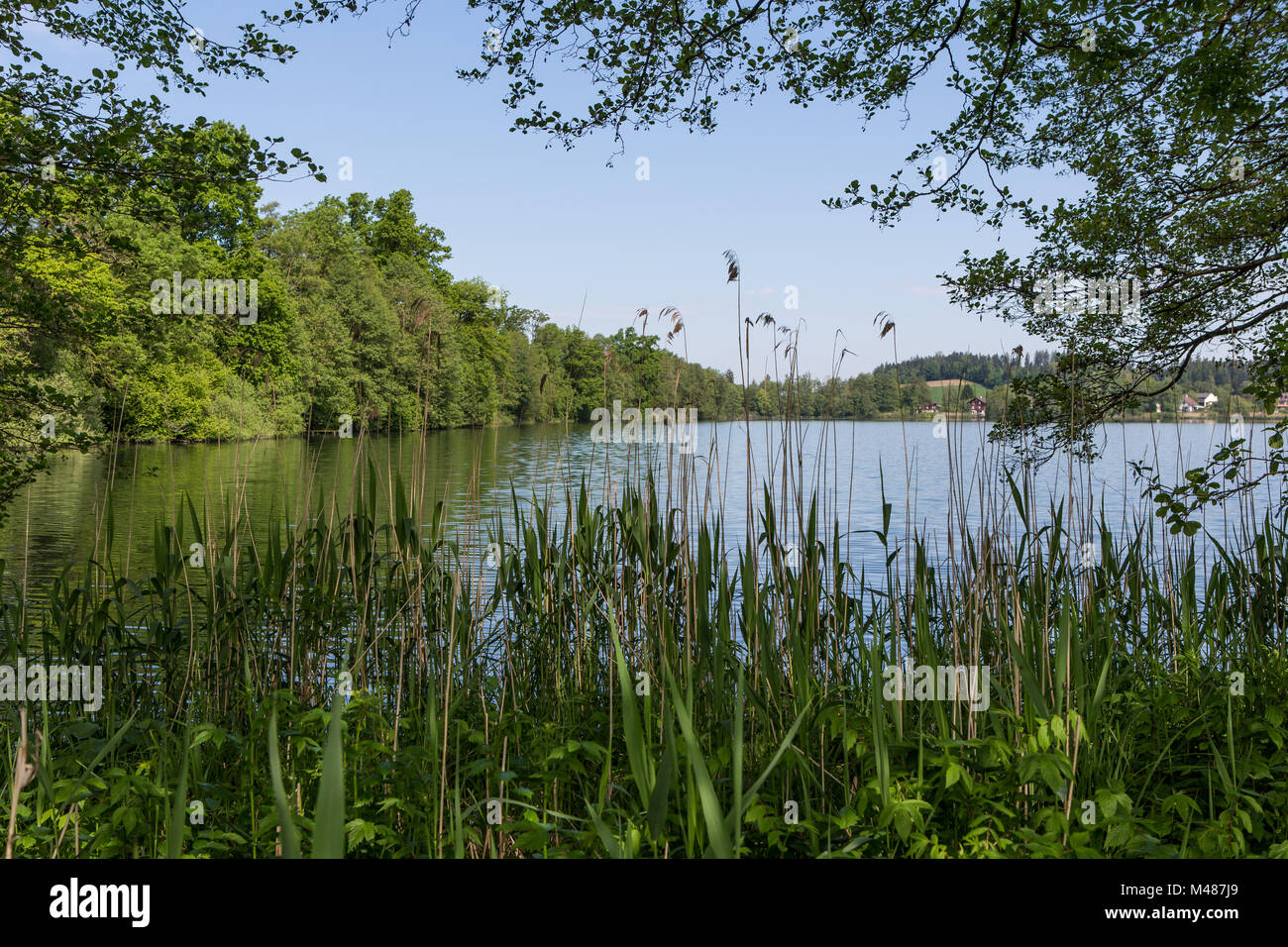 Soppensee hi-res stock photography and images - Alamy