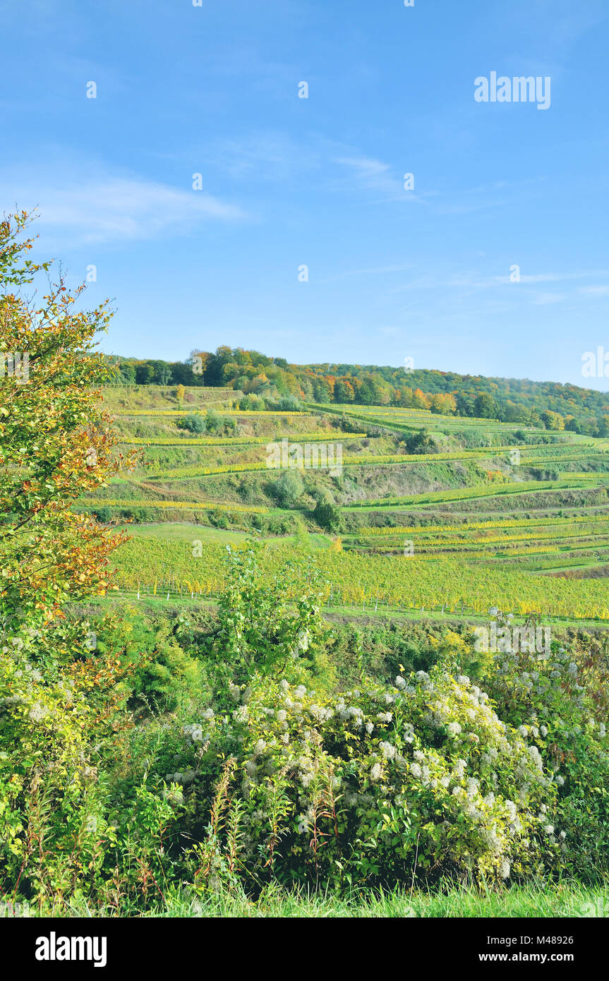Black Forest Germany Landscape High Resolution Stock Photography and ...