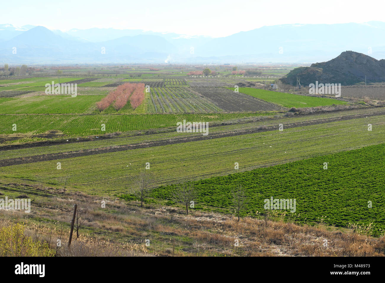 Cultivated field at spring Stock Photo - Alamy