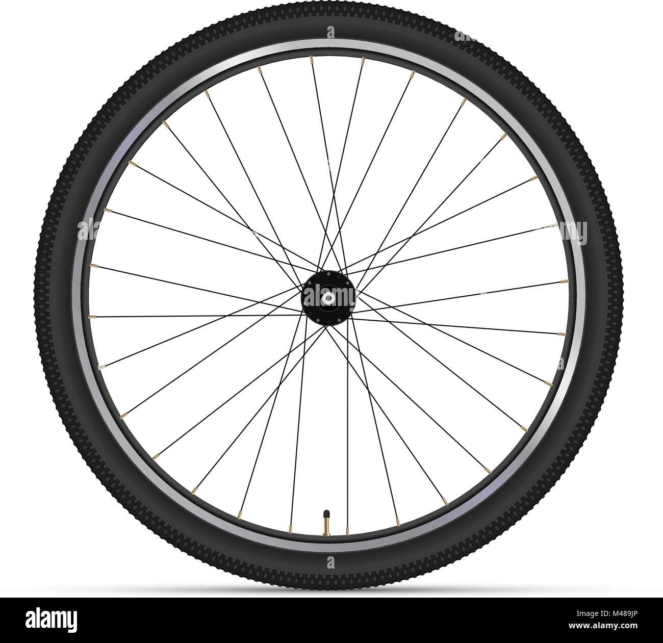 Mountain Bicycle Wheel with Polished Rims. 3D Realistic Vector ...