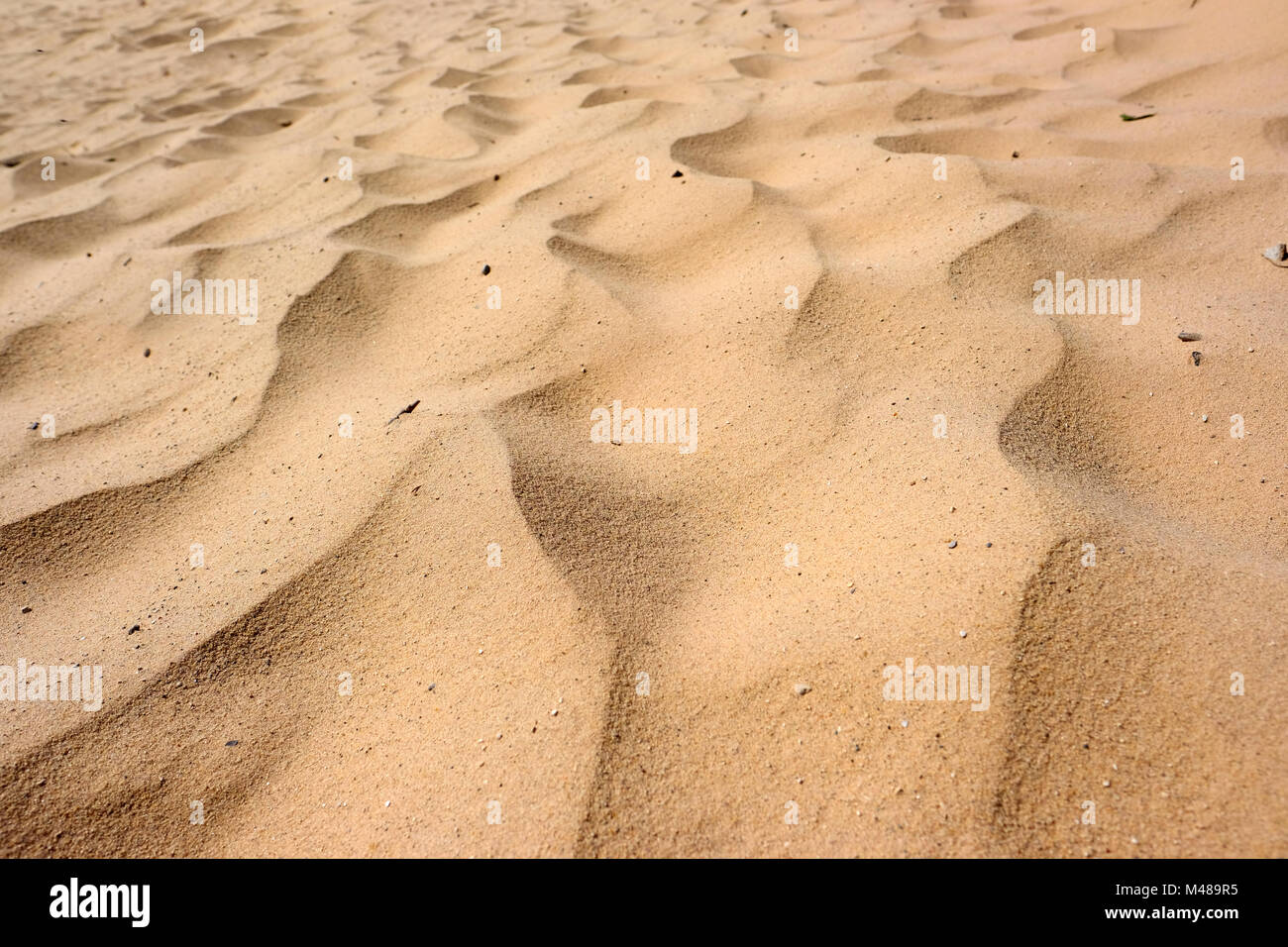 Sandy background at dunes Stock Photo - Alamy