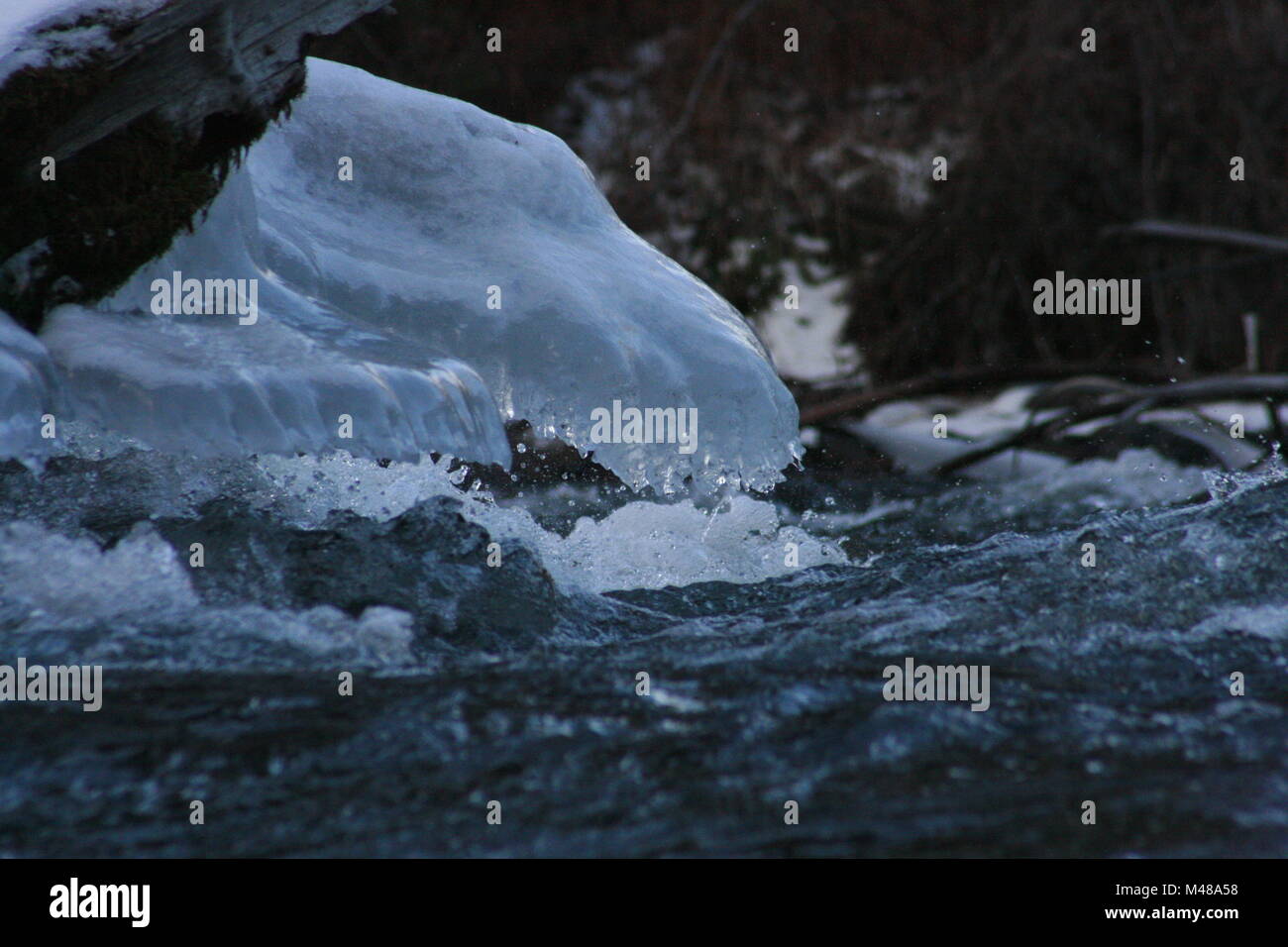 river log with ice Stock Photo - Alamy