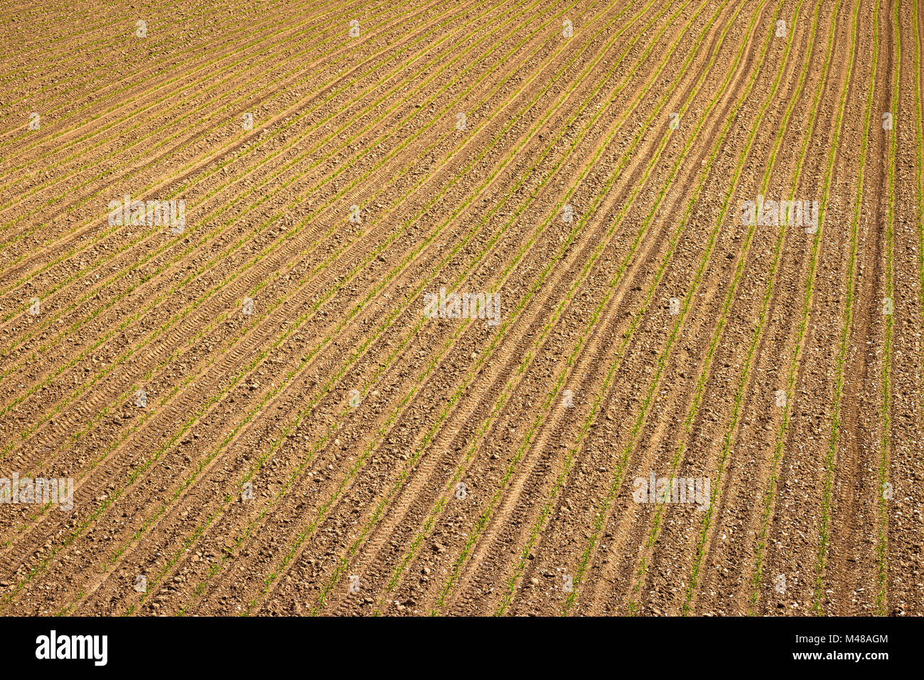 Beautiful landscape plowed field hi-res stock photography and images ...