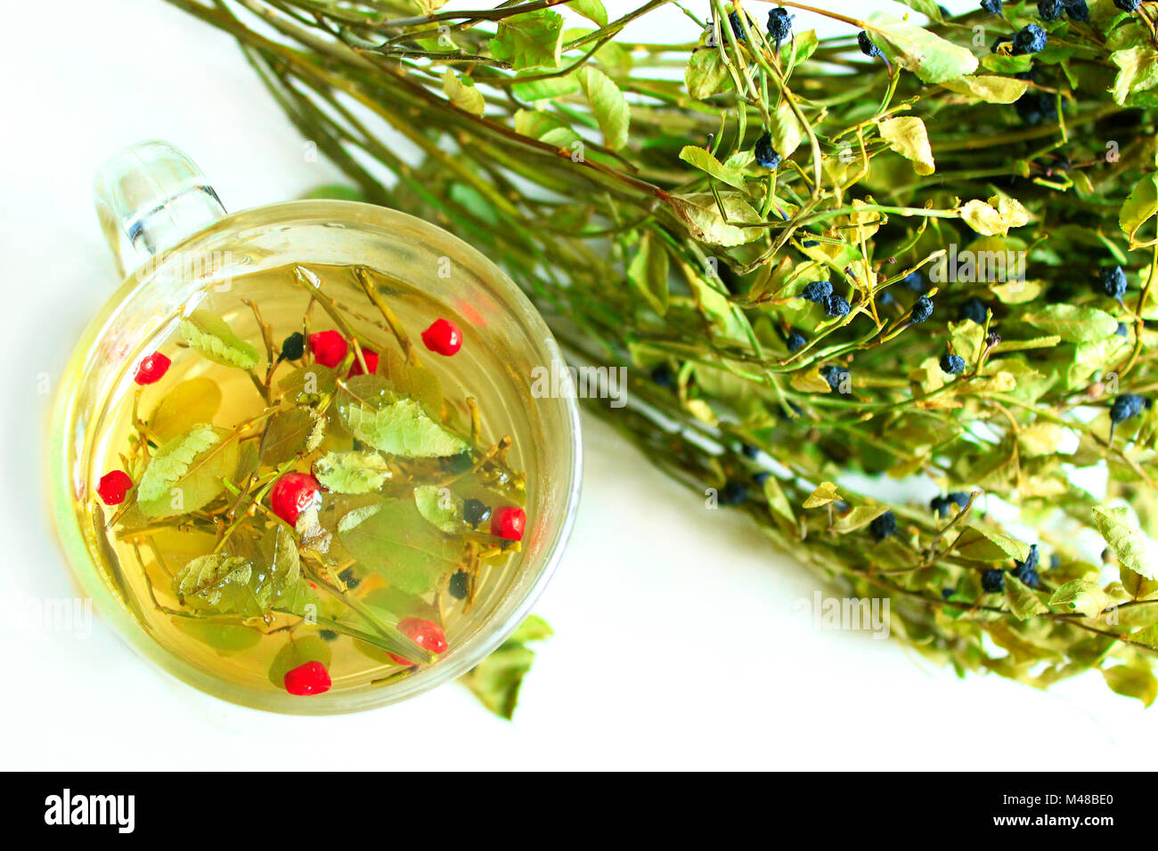 tea from leaves and berries of bilberry and schisandra Stock Photo - Alamy