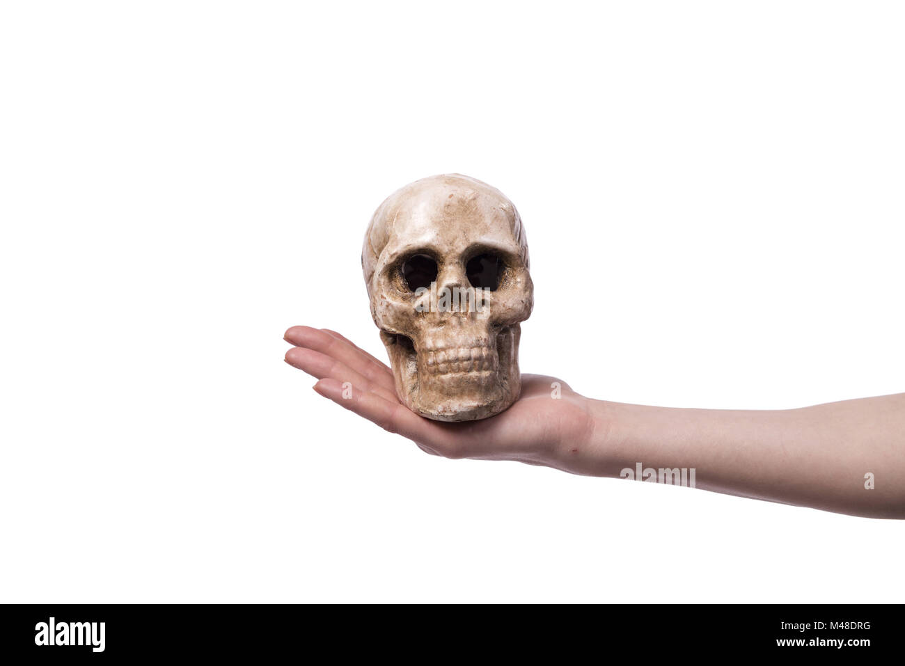 Hand holding skull isolated on white Stock Photo - Alamy