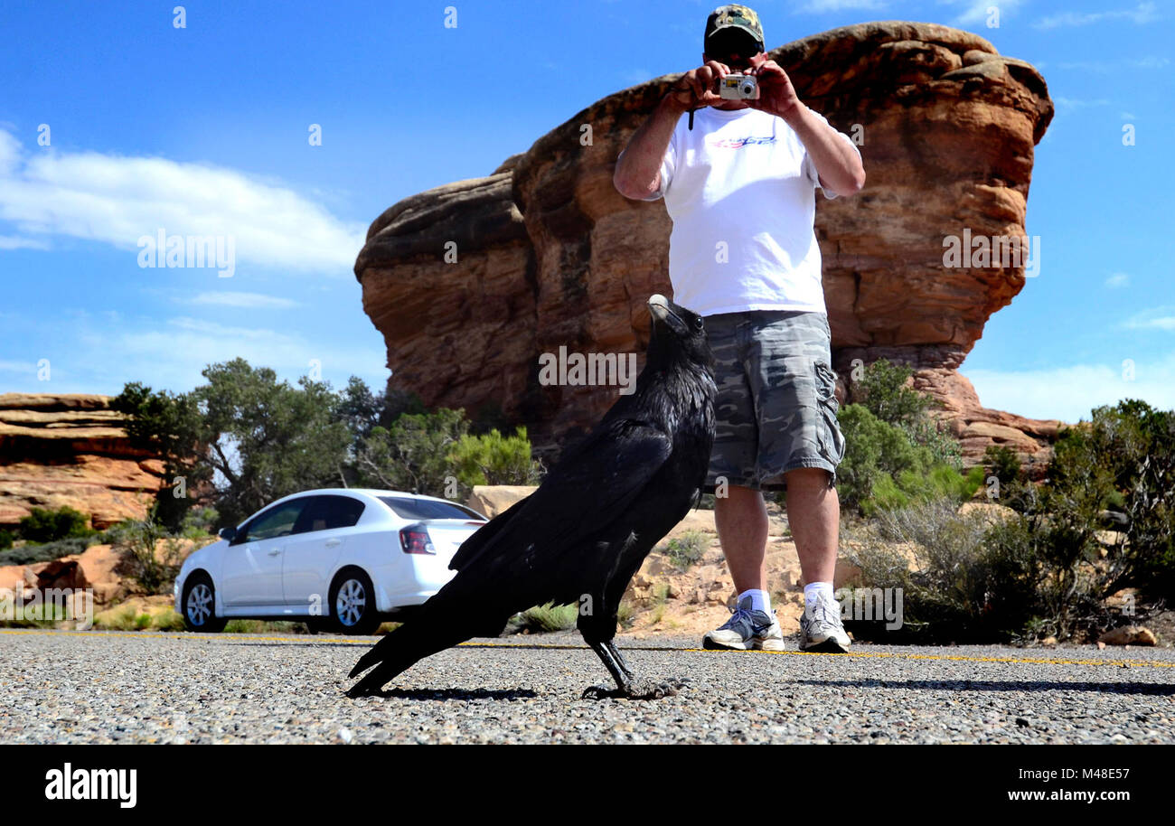 Poses for photographs hi-res stock photography and images - Alamy