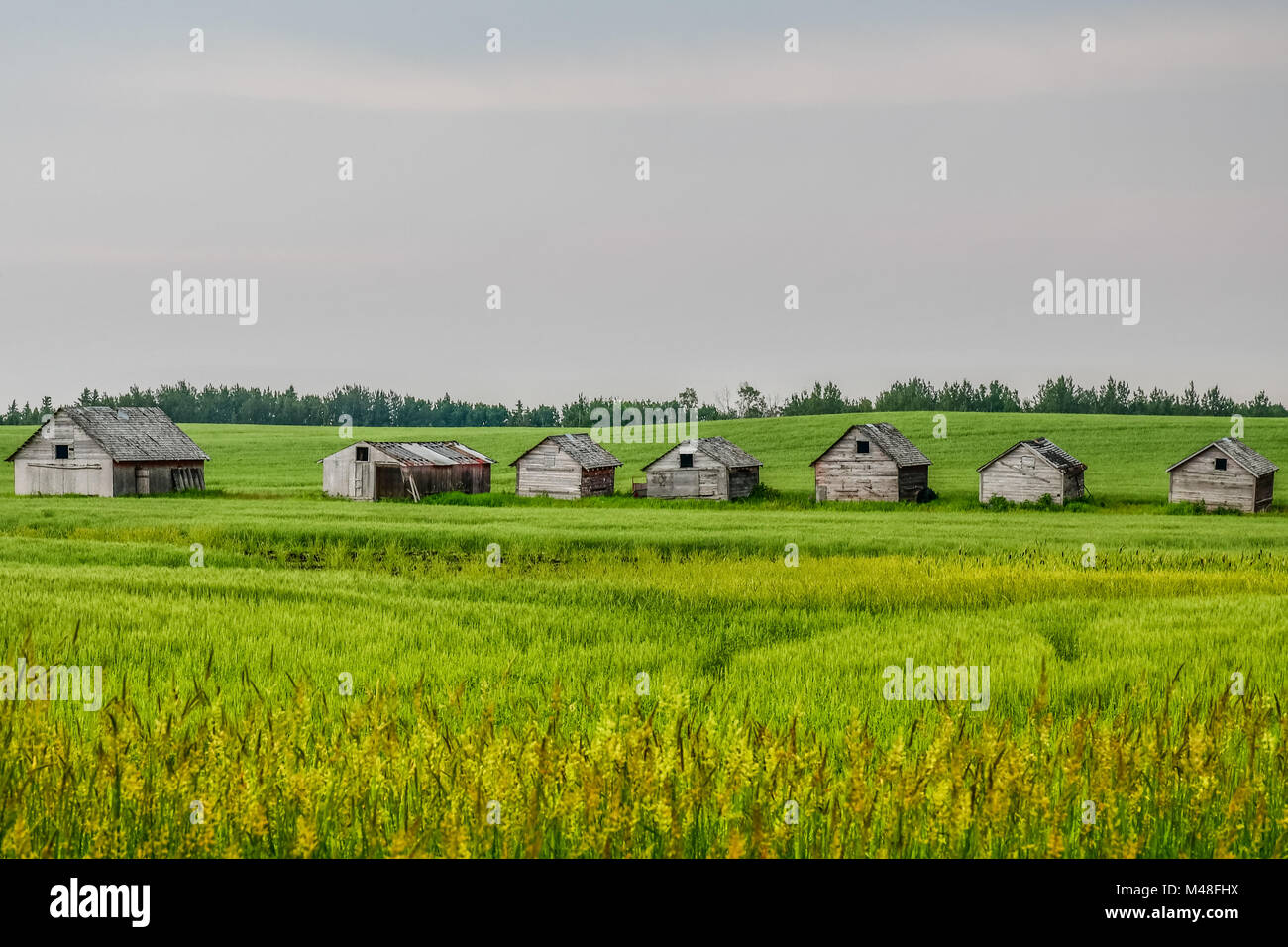 Beautiful field view hi-res stock photography and images - Alamy