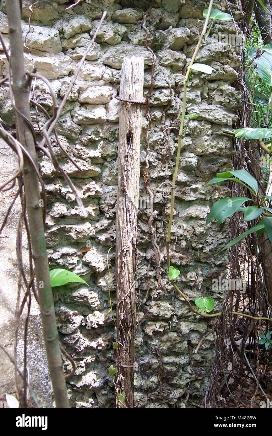 CCC area at Royal Palm Stock Photo - Alamy