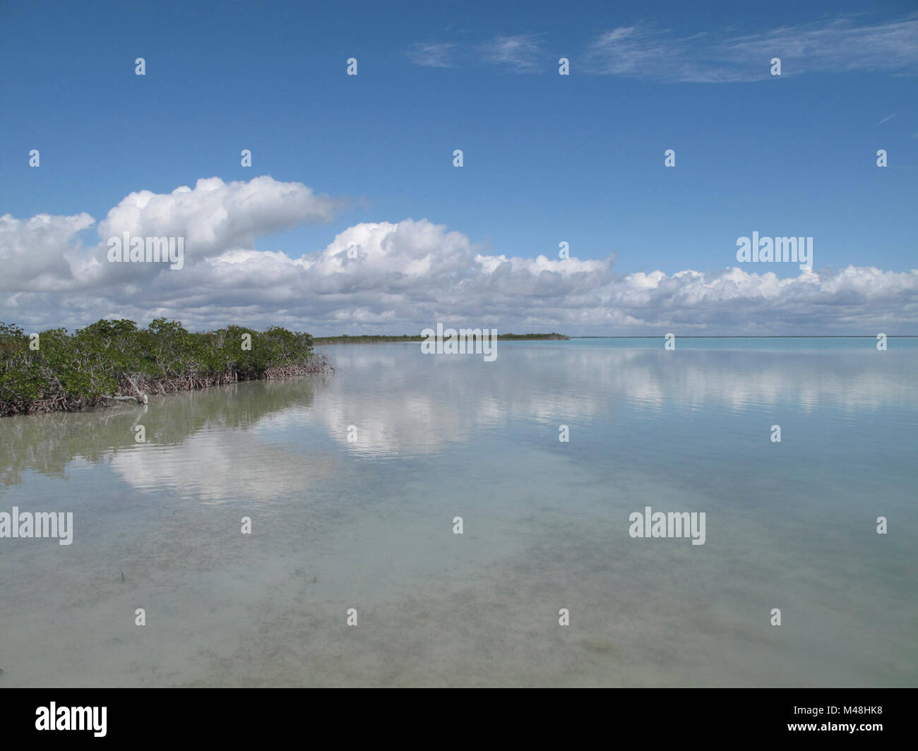 Florida Bay Stock Photo - Alamy