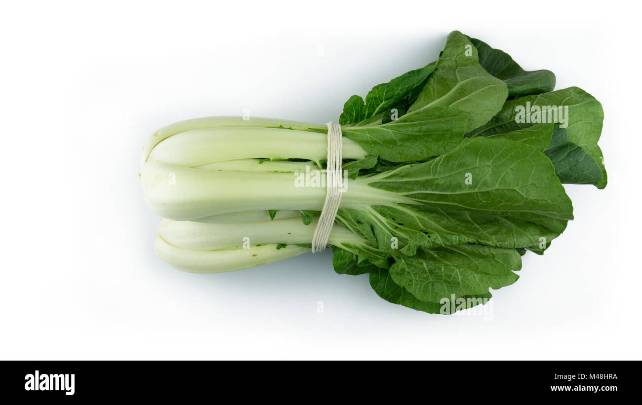 Bok choy plant hi-res stock photography and images - Alamy