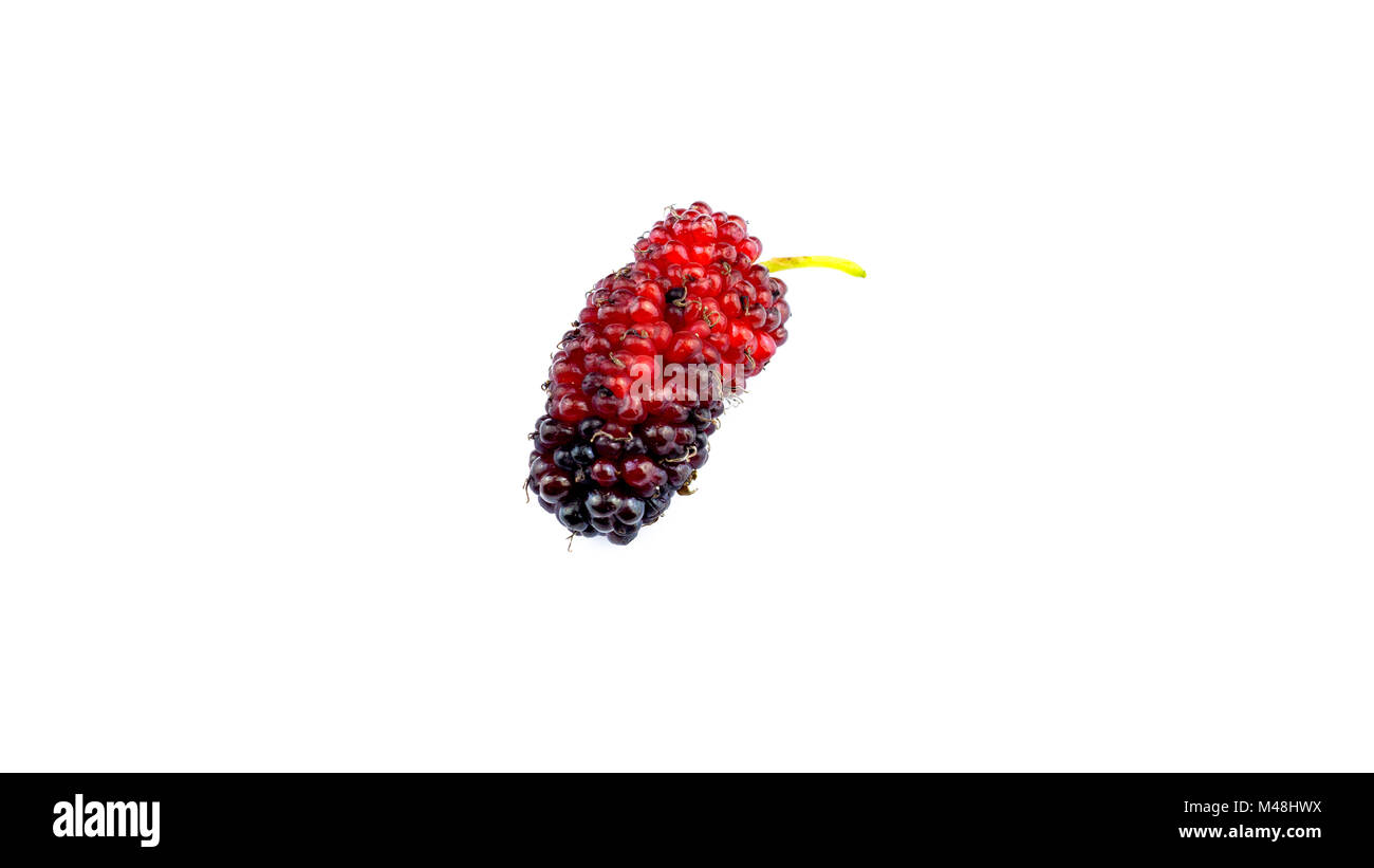 fresh red mulberry isolated on white background Stock Photo - Alamy