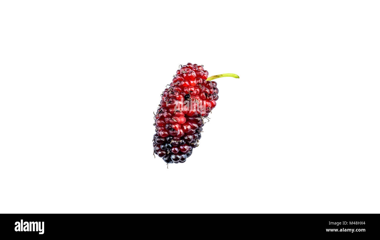 Sweet mulberry Cut Out Stock Images & Pictures - Alamy