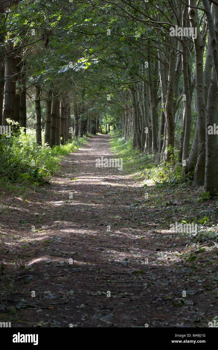 Peaceful trail hi-res stock photography and images - Alamy