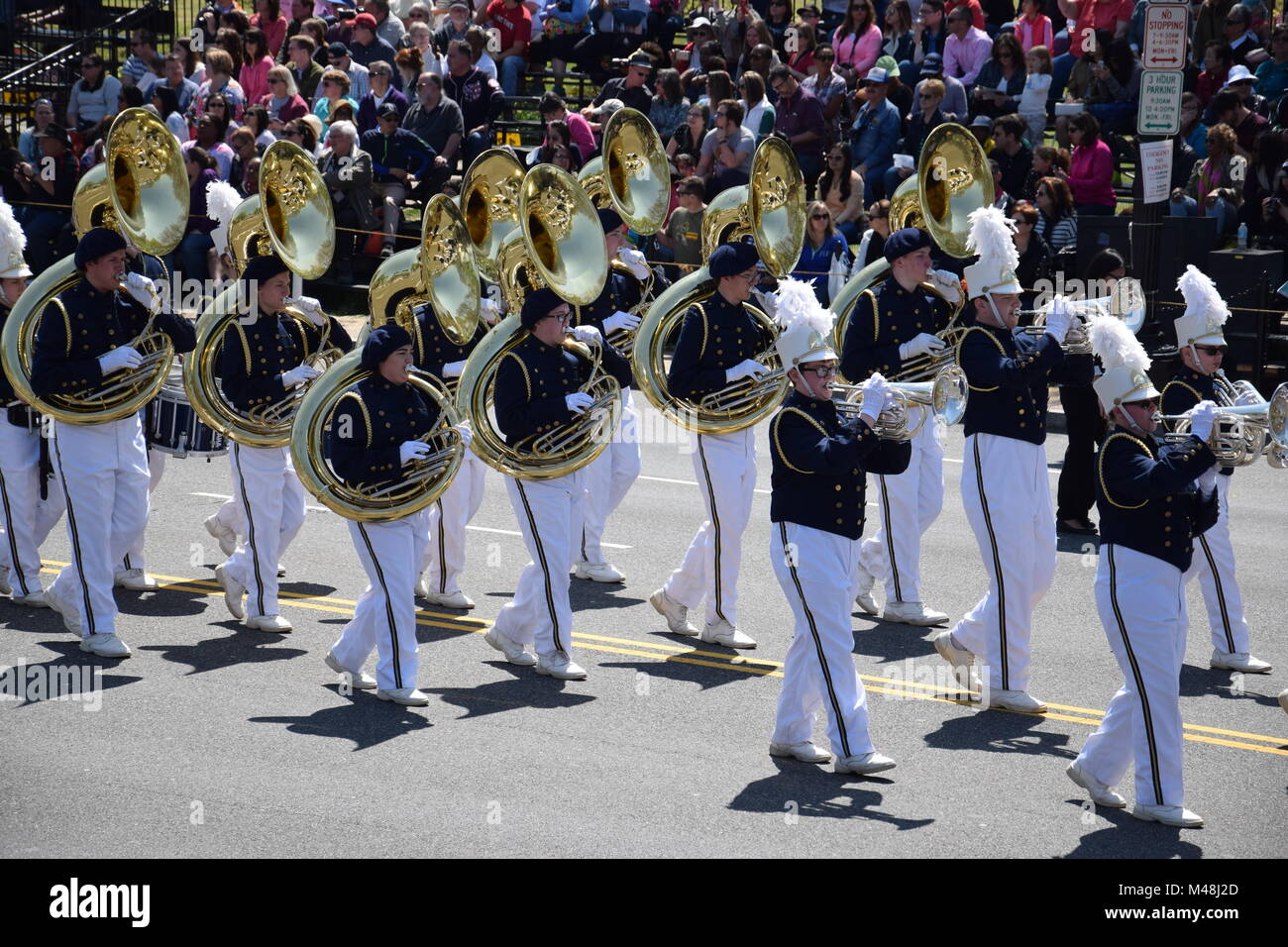 Constitution avenue cherry blossom hi-res stock photography and images ...
