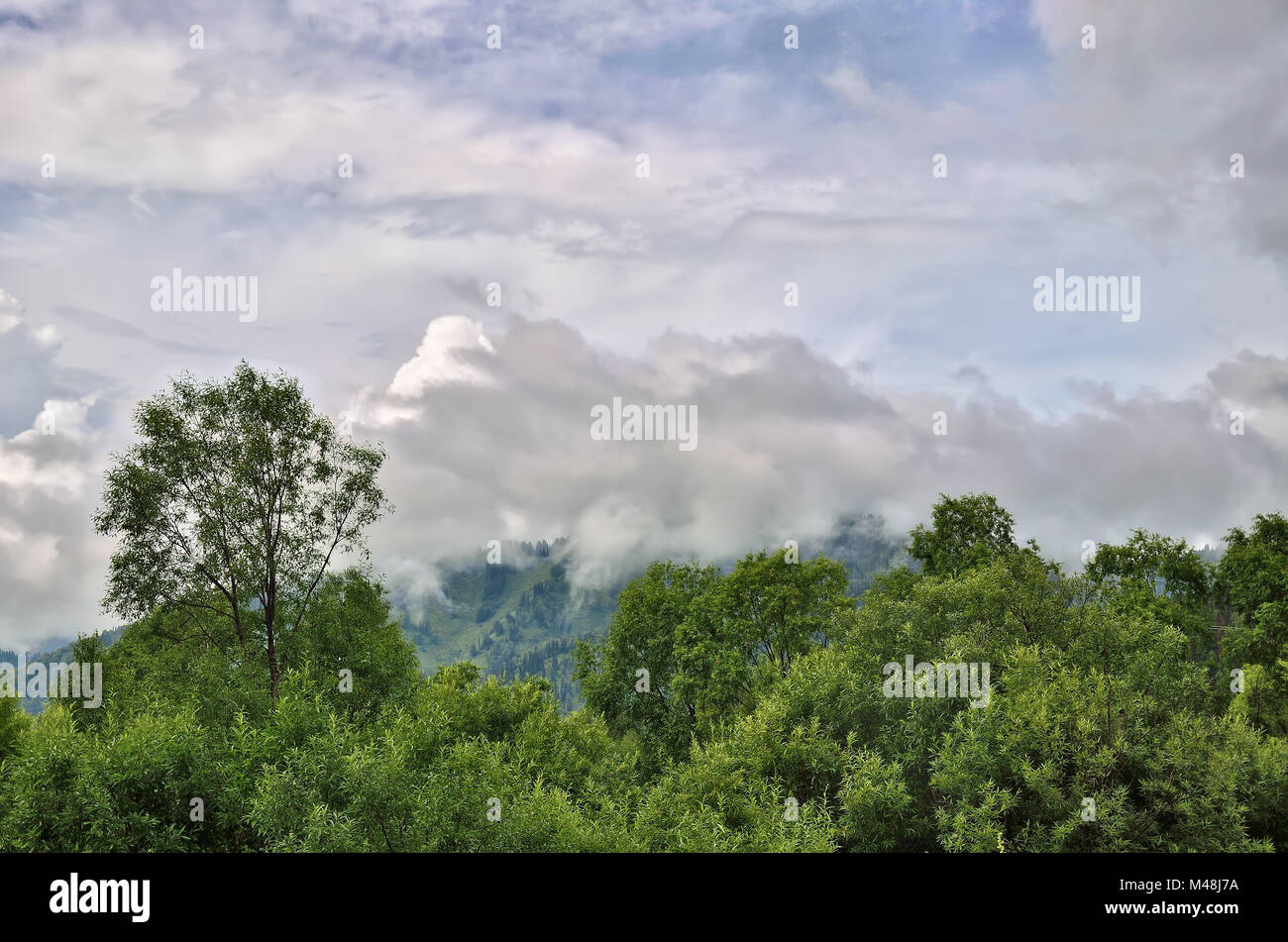 Beautiful low light view hi-res stock photography and images - Alamy