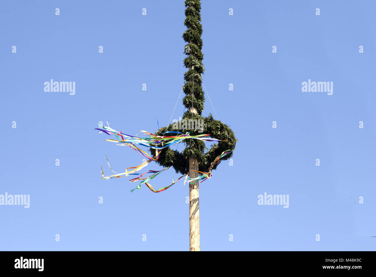 Maytree hi-res stock photography and images - Alamy