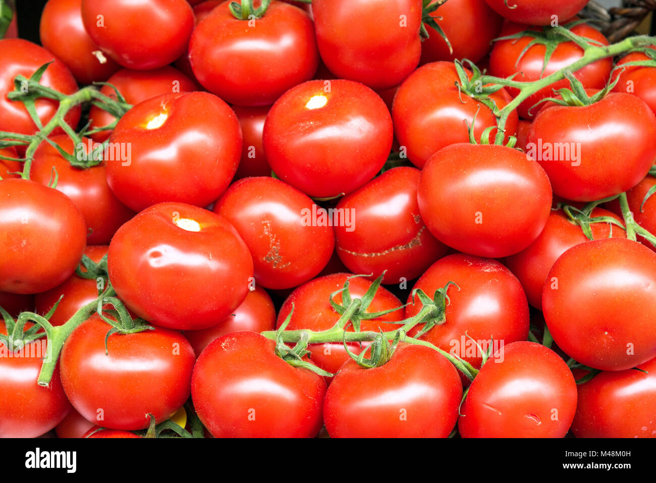 Sale tomatoes hi-res stock photography and images - Alamy