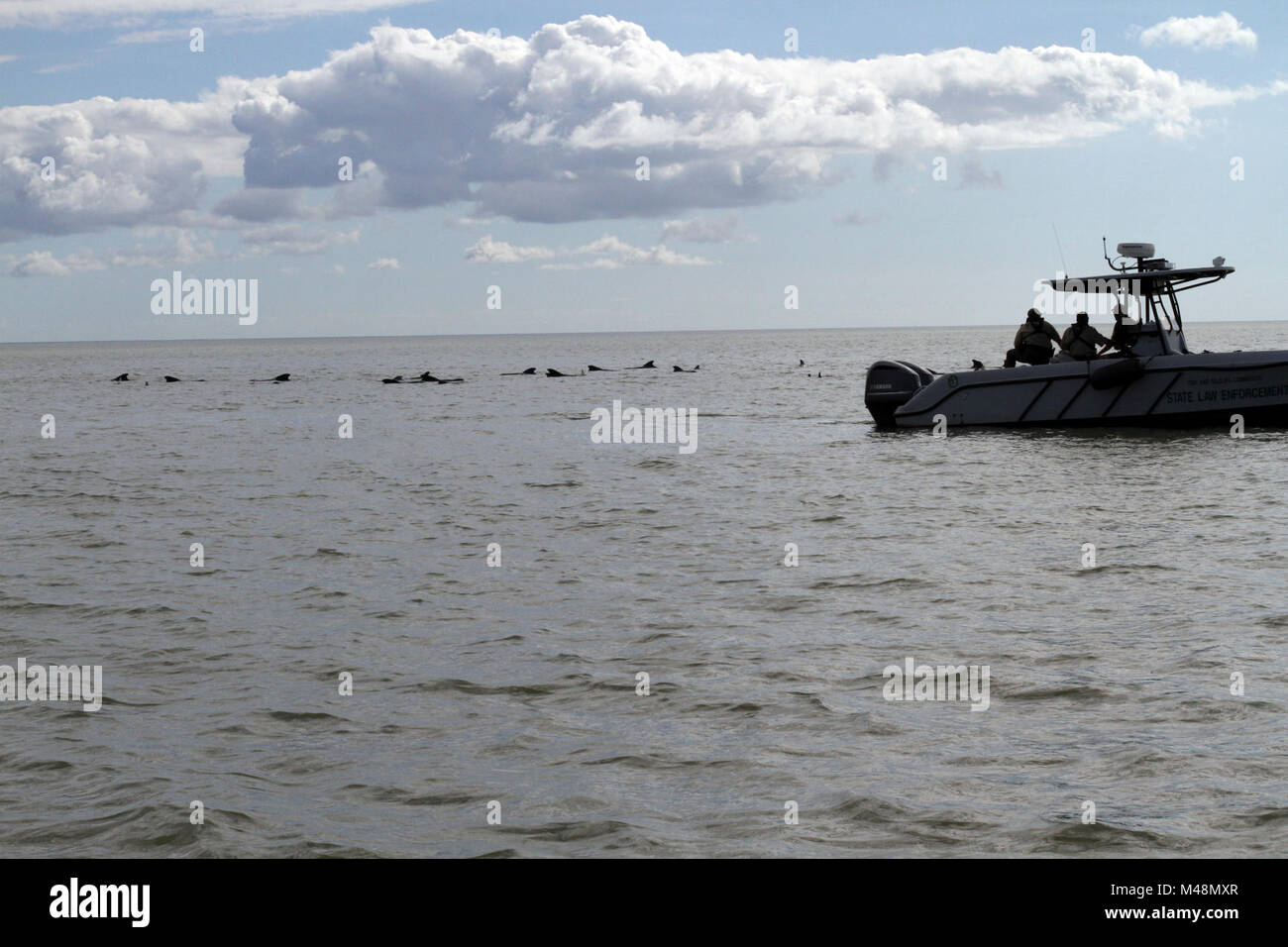 Fwc hi-res stock photography and images - Alamy