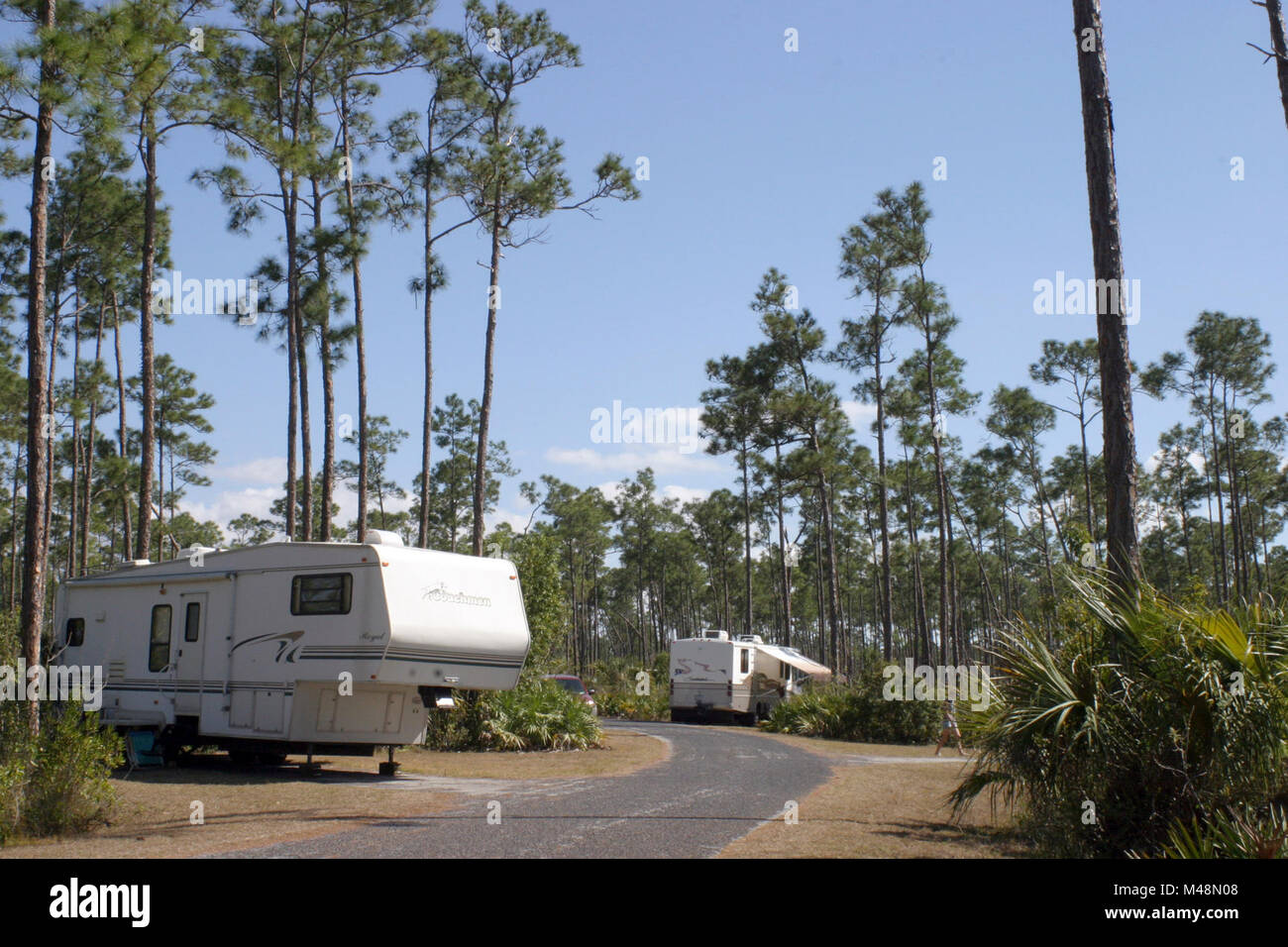 Everglades long pine key hi-res stock photography and images - Alamy