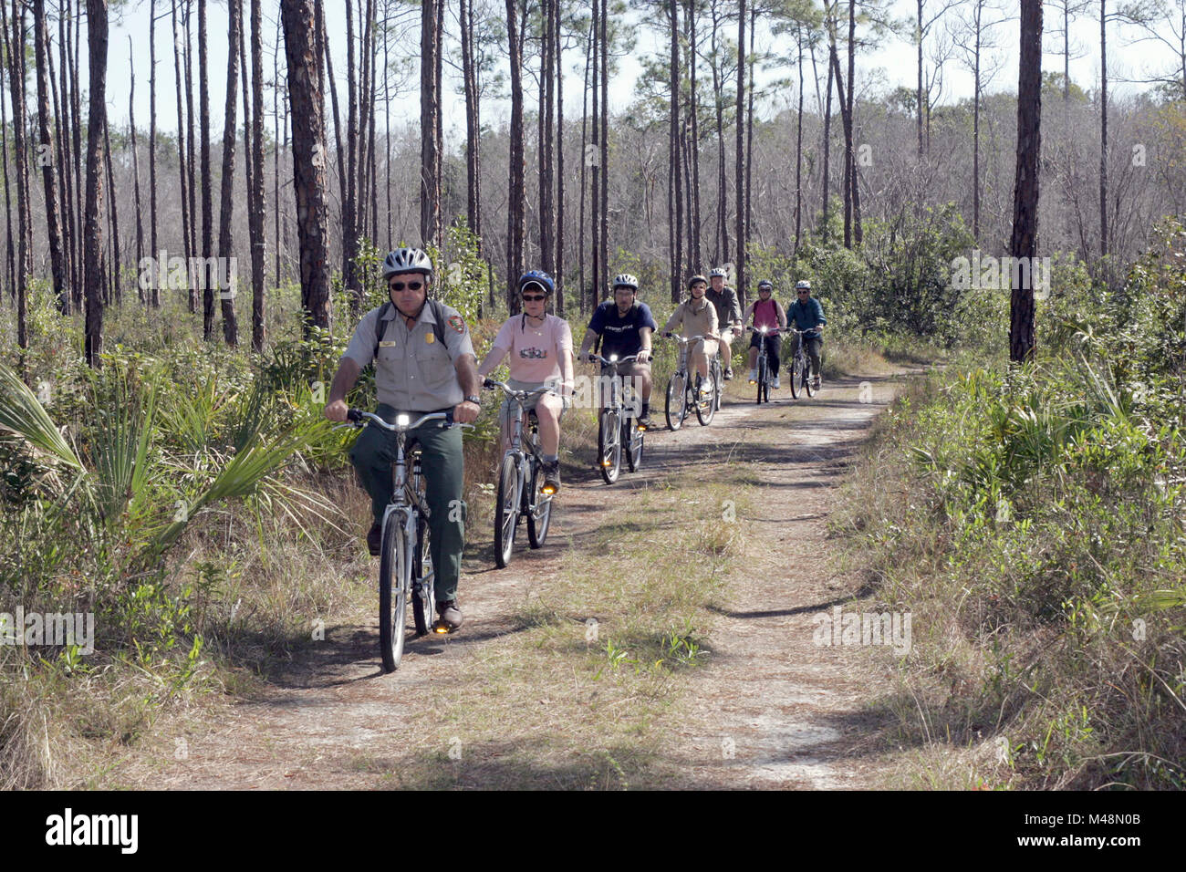 Long Pine Key Nature Trail Stock Photo - Alamy
