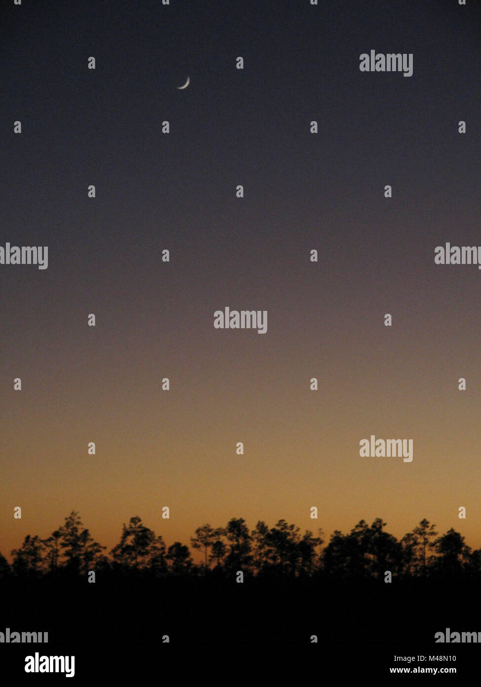 Long Pine Key Nature Trail Stock Photo - Alamy