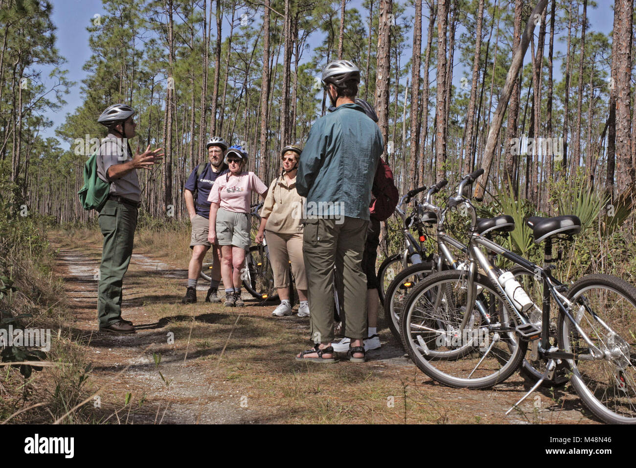 Long Pine Key Nature Trail Stock Photo - Alamy