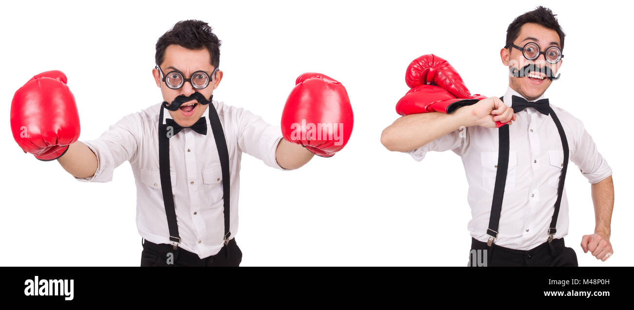 The funny boxer isolated on the white background Stock Photo - Alamy