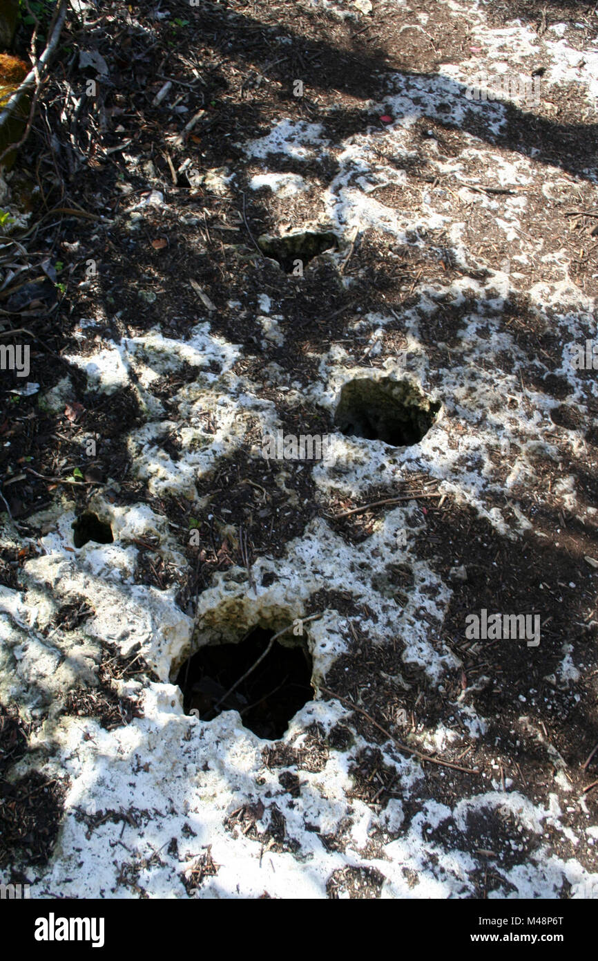 Otter Cave Stock Photo - Alamy