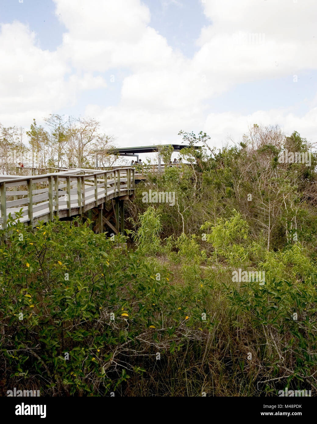 Pay-Hay-Okee Boardwalk Stock Photo - Alamy