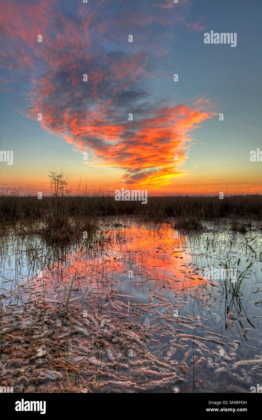 Periphyton before night Stock Photo - Alamy