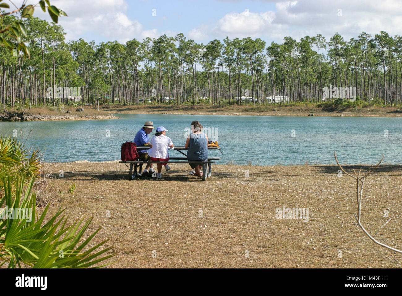 Everglades long pine key hi-res stock photography and images - Alamy