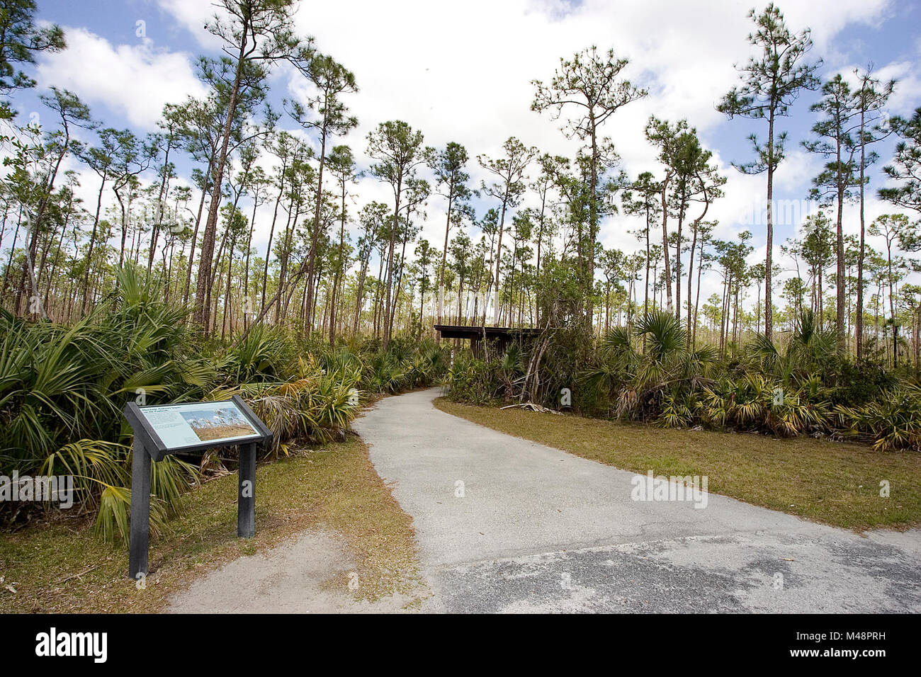 Pinelands Trail Stock Photo - Alamy