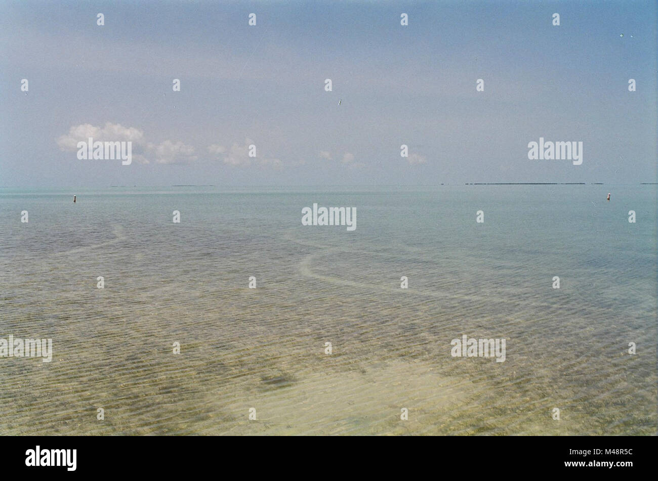 Prop Scars on Shallows in Florida Bay Stock Photo - Alamy