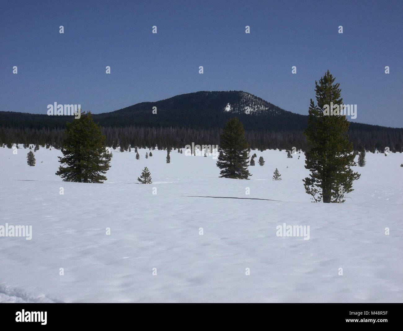 A wintery view of the Pumice Desert and Desert Cone. Pumice Desert ...