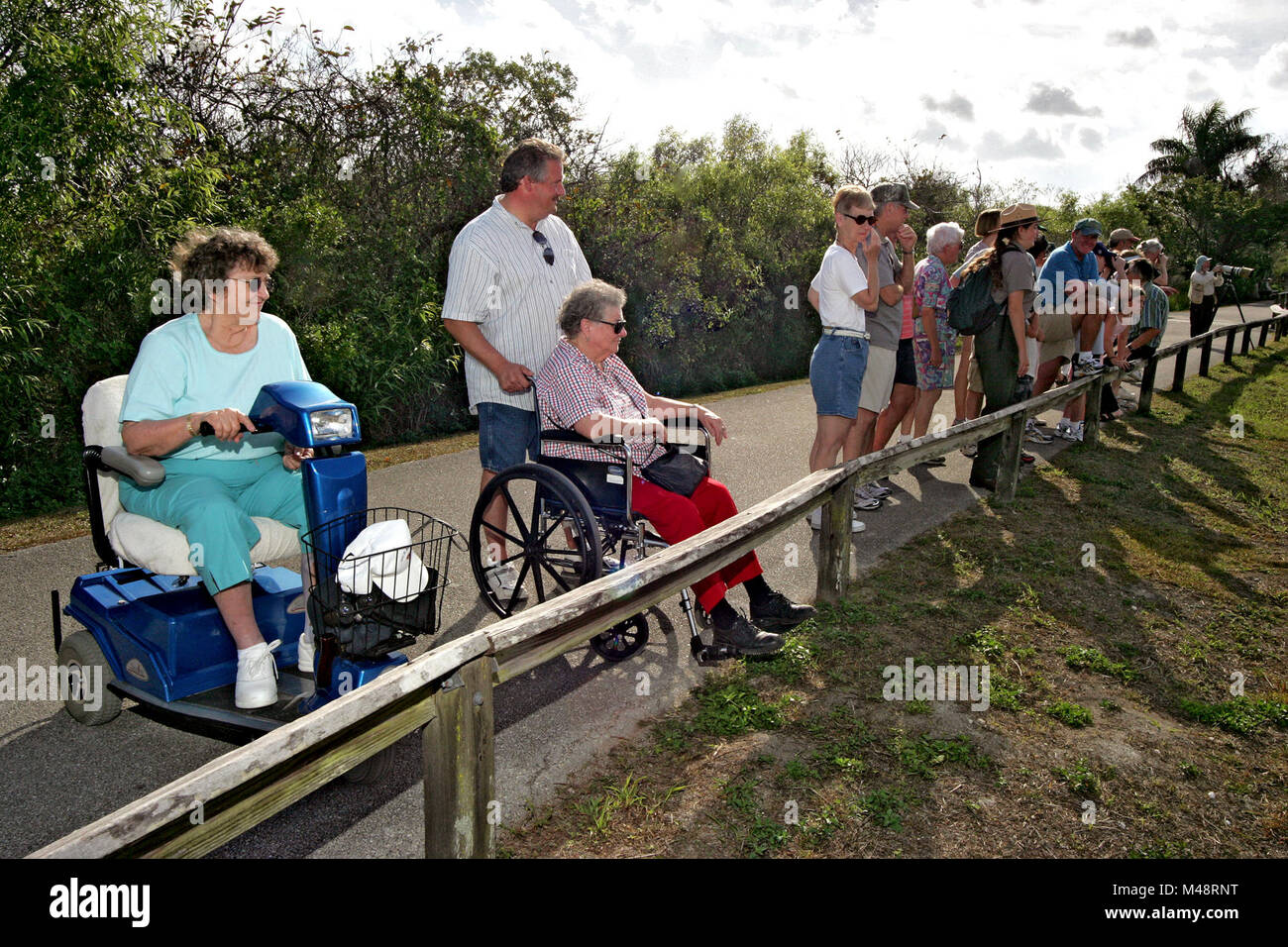 Anhinga trail at royal palm hi-res stock photography and images - Alamy
