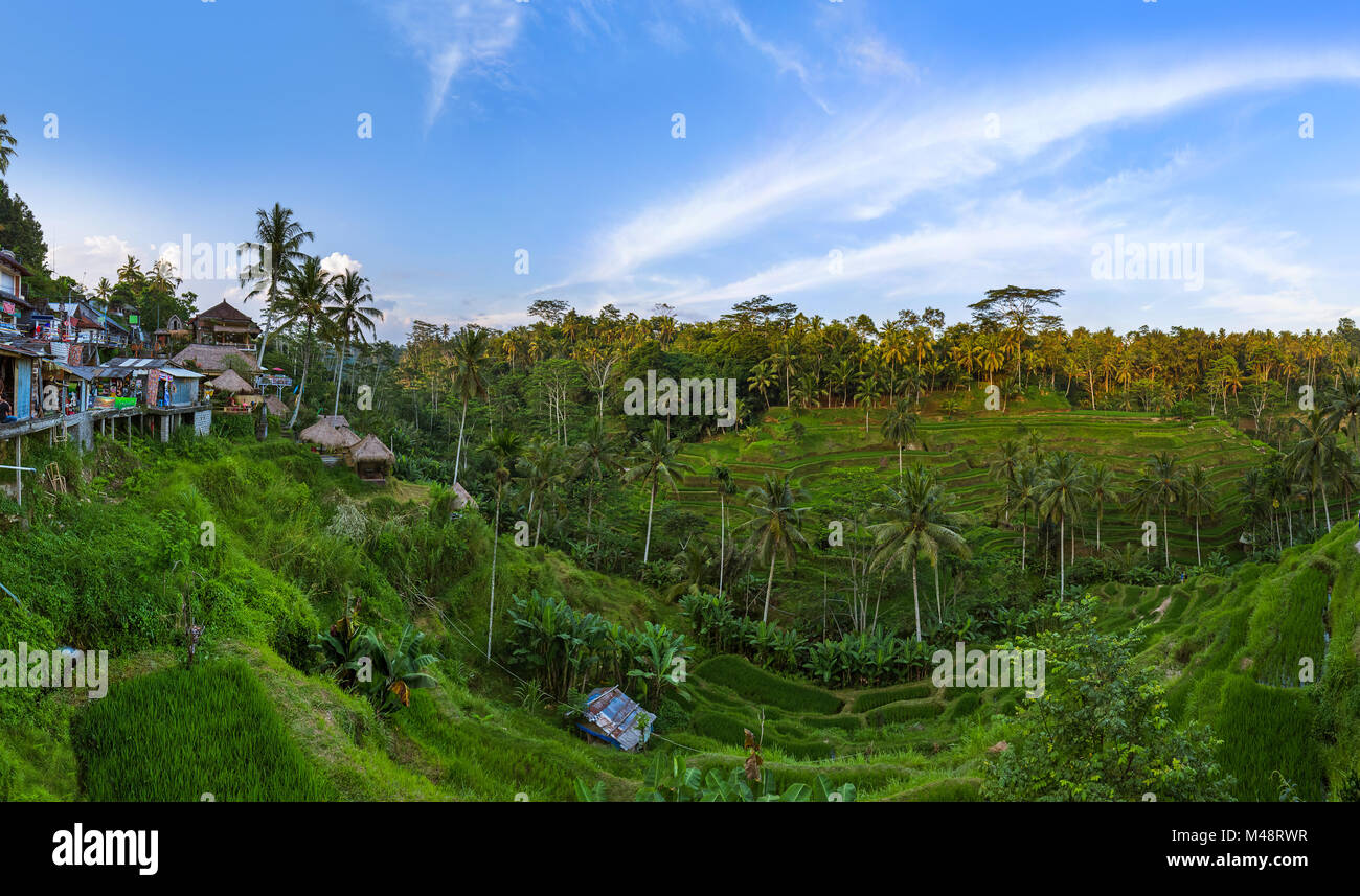 Isla bali hi-res stock photography and images - Alamy