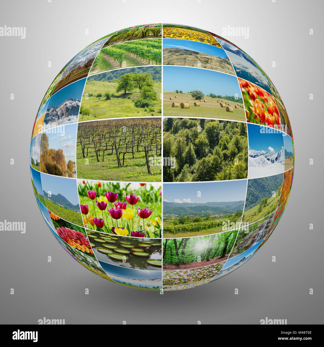 Collection of nature photos in collage concept Stock Photo - Alamy