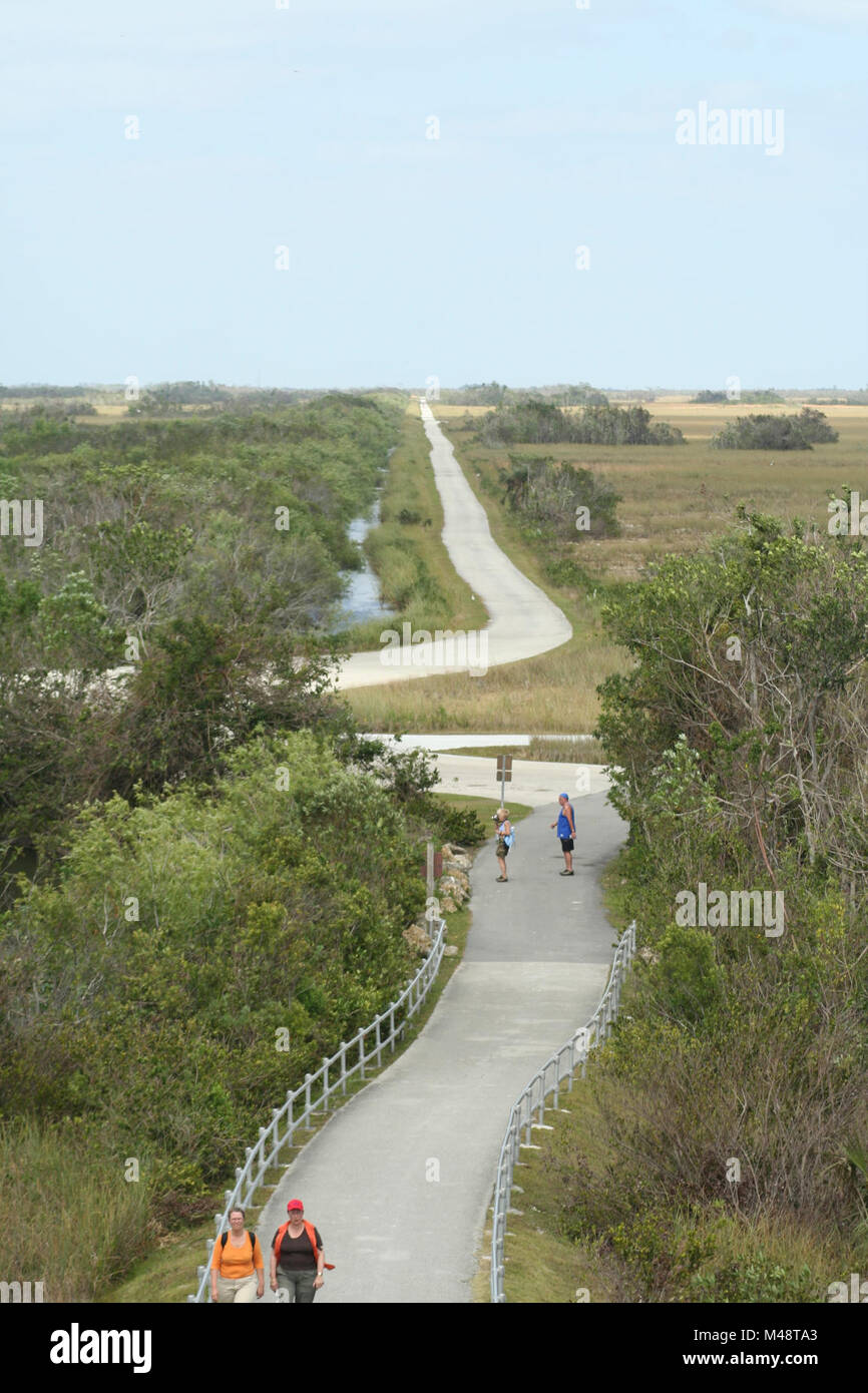 Shark Valley Tram Road and Trail Stock Photo - Alamy