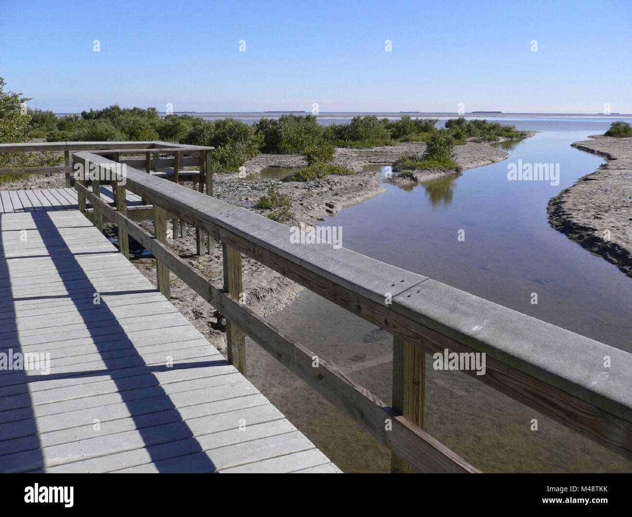 Snake bight florida hi-res stock photography and images - Alamy