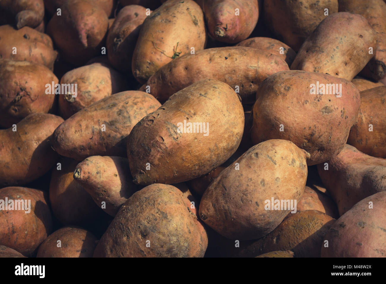 Potato Texture High Resolution Stock Photography and Images - Alamy