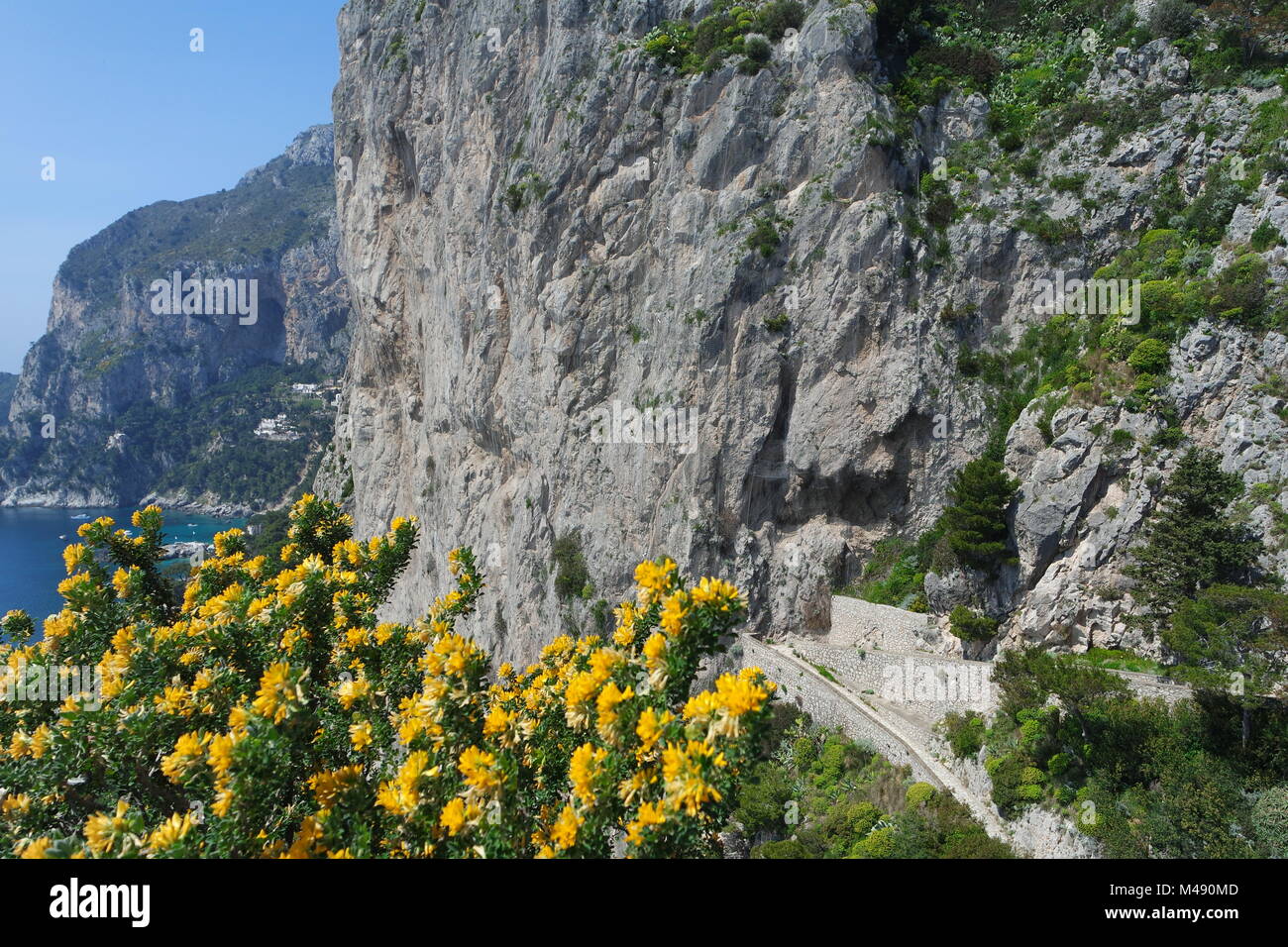 Cliffs of Capri Stock Photo - Alamy